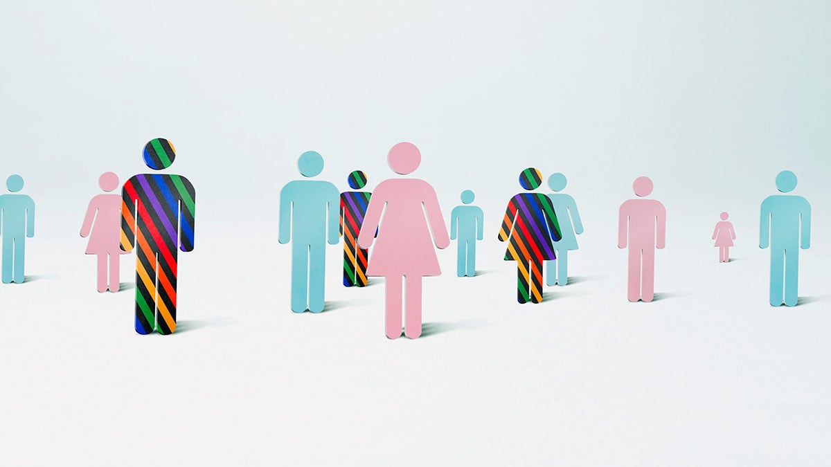 The gender-friendly organization: Essential knowledge and practices for ...